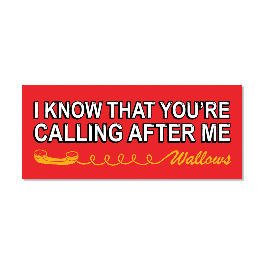 Wallows | Official Merchandise Store – Wallows Store