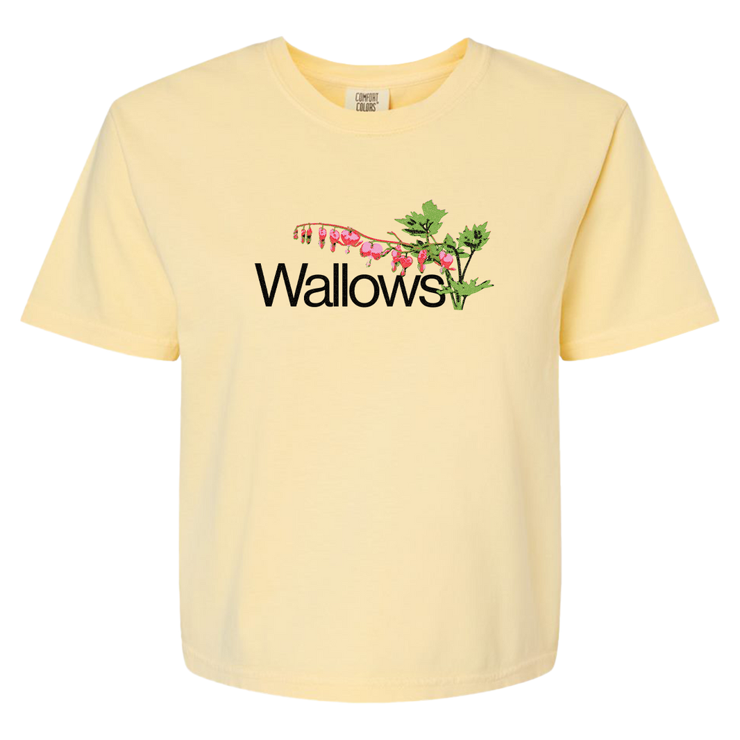 Wallows | Official Merchandise Store – Wallows Store