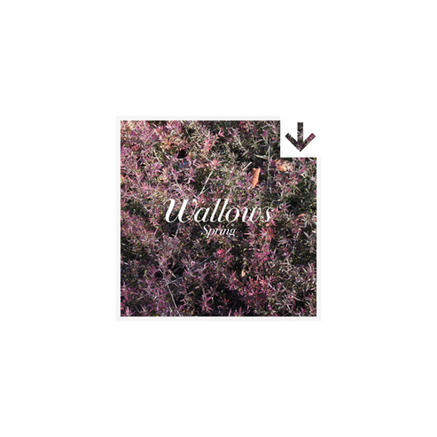 'SPRING' EP (DIGITAL ALBUM) – Wallows Store