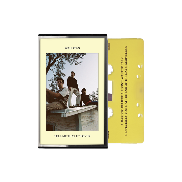 MUSIC – Wallows Store